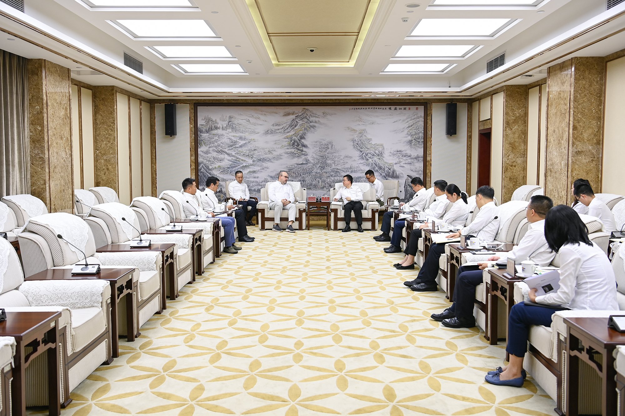 罗蔺与拓高乐集团中国区CEO一行举行会谈_重庆两江新区管理委员会